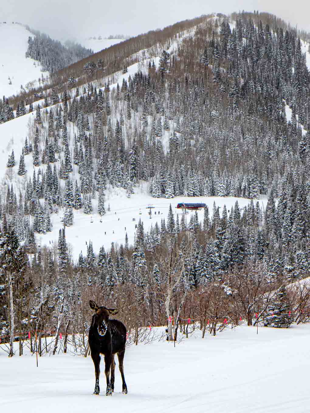 Park City Ski Photos 2022/23 | TheOutdoorClick